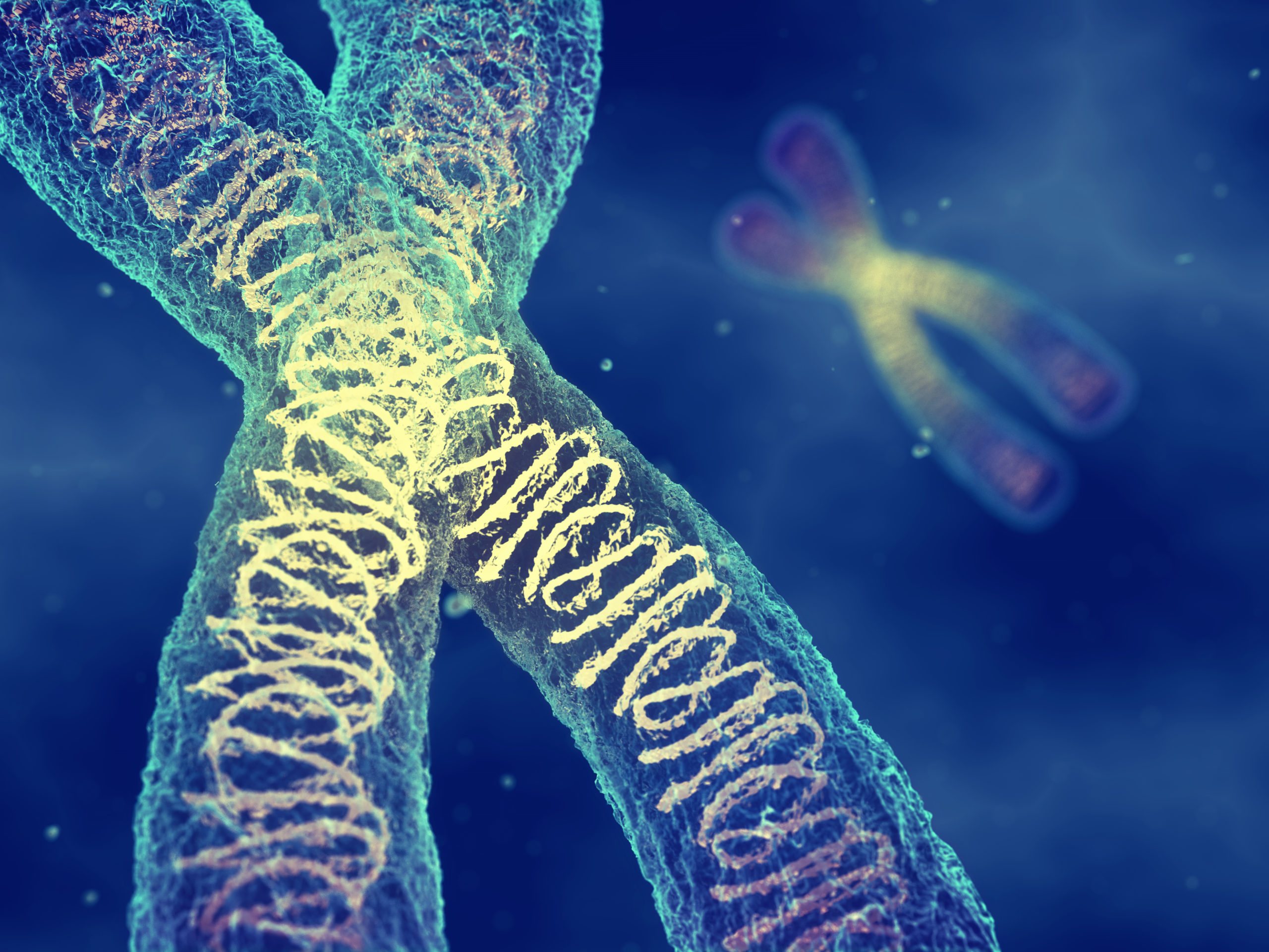 What Is A Chromosome Test Learn More FDNA Health